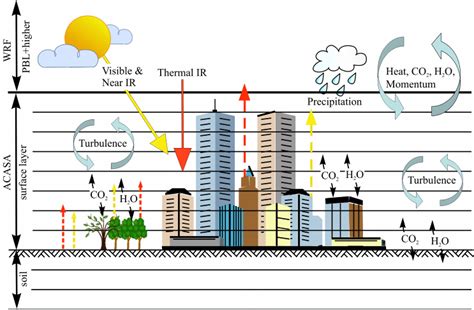 Scheme Of The Processes Modelled By The Coupled Model Wrf Acasa
