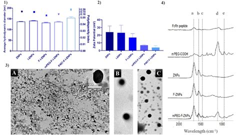 1 The Average Hydrodynamic Diameter And Pdi Measured By Dls Results Download Scientific