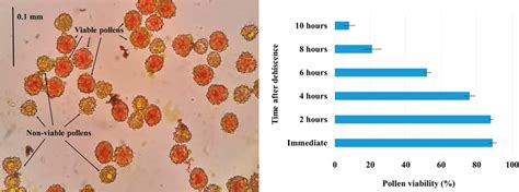 Pollen Viability Test At Different Time Intervals After Dehiscence Download Scientific Diagram