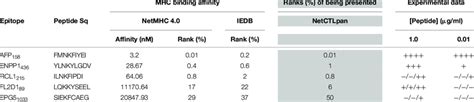 Correlation Of The In Silico Analysis Data With Experimental Data Of