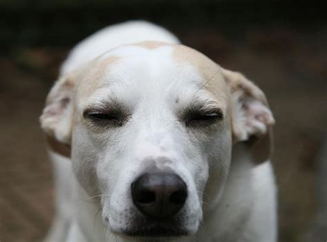 In Libreria Con Barbara 3 Domande A Sonia Benassi