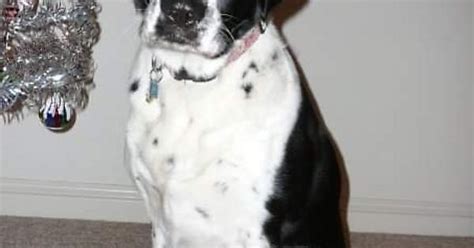 V Lenin Album On Imgur