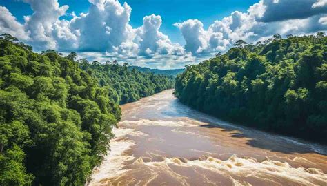 Madre De Dios Peru Travel Info Adventure Awaits