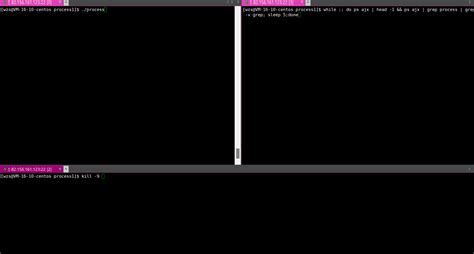 Linux进程理解冯诺依曼体系结构操作系统进程概念和基本操作进程的内部结构 Csdn博客