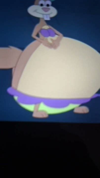 Sandy Stomach Growling Spongebobsquarepants In Kitty Kitty Bear Bear
