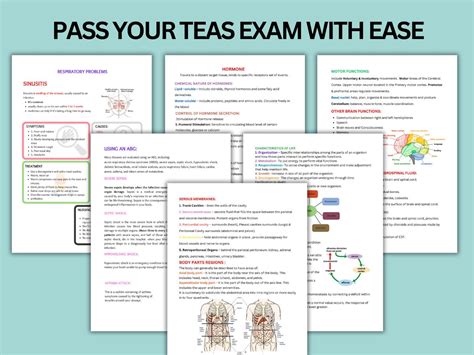 Complete Ati Teas 7 Study Guide 2024 Updated Ati Teas 7 Study Cheat