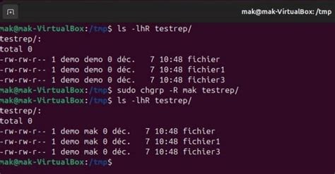 Commande Chgrp Sur Linux Utilisation Avec Des Exemples