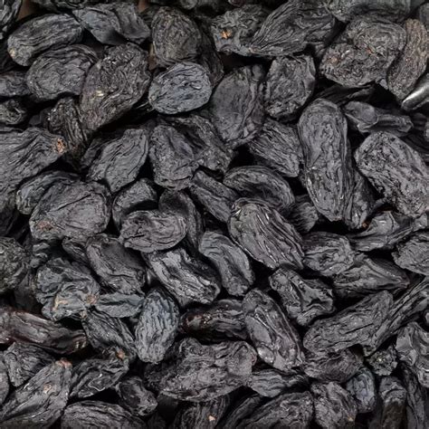 قیمت مویز خرید مویز تازه و با کیفیت