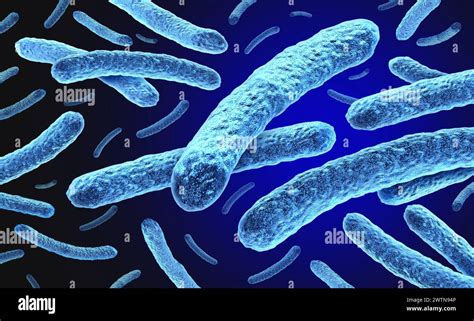 Leprosy Bacteria Structure Leprosy