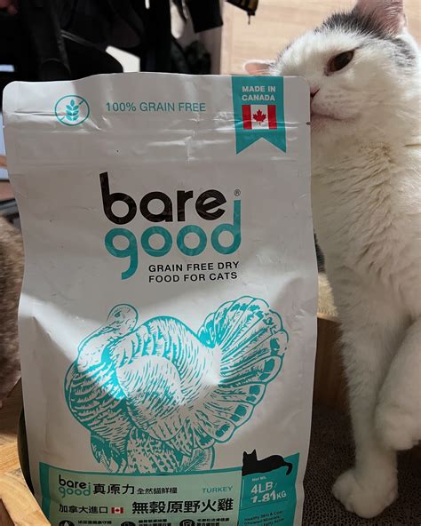 Candz 暴龍貓家族🦖🦖🦖 身為合格貓奴 每天最頭痛的問題就是：「主子今天願意賞哪款御膳？」 罐罐？膩了！ 乾乾？翻白眼！ 手作鮮食？不敢