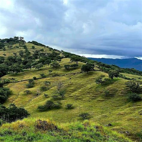 Iris Gisela Padilla Lazo