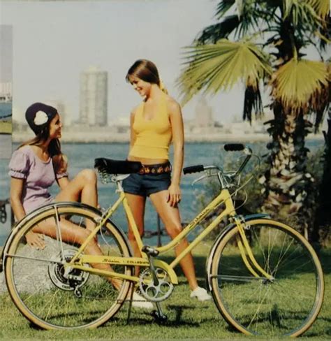 The Schwinn Collegiate 1954 To 1987