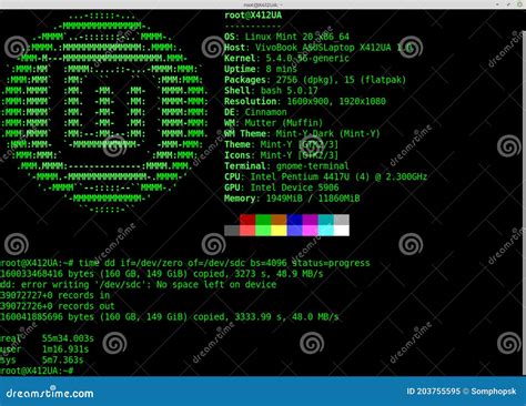 Linux Mint Screen Display It Details And Configuration After Logon To The Console Editorial