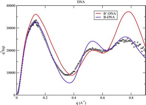Kratky Plot Comparison Between B And B Form Of Dna Download
