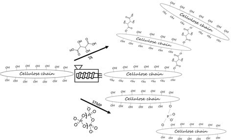 Simplified Schematic Representation Of Cross Linking Of Cellulose