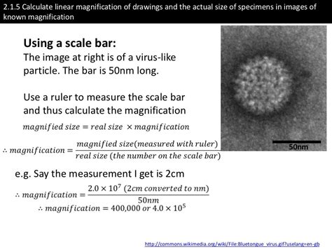 2 1 5 Calculate Linear Magnification Of