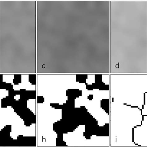 Stages Of Fractal Analysis Duplicated Image After Cropping A Download Scientific Diagram