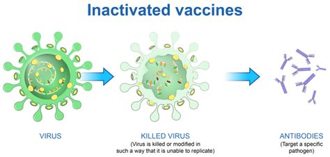 Chickenpox And Varicella Vaccination Frontier Healthcare Group