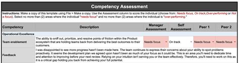 Operational Assessment Example