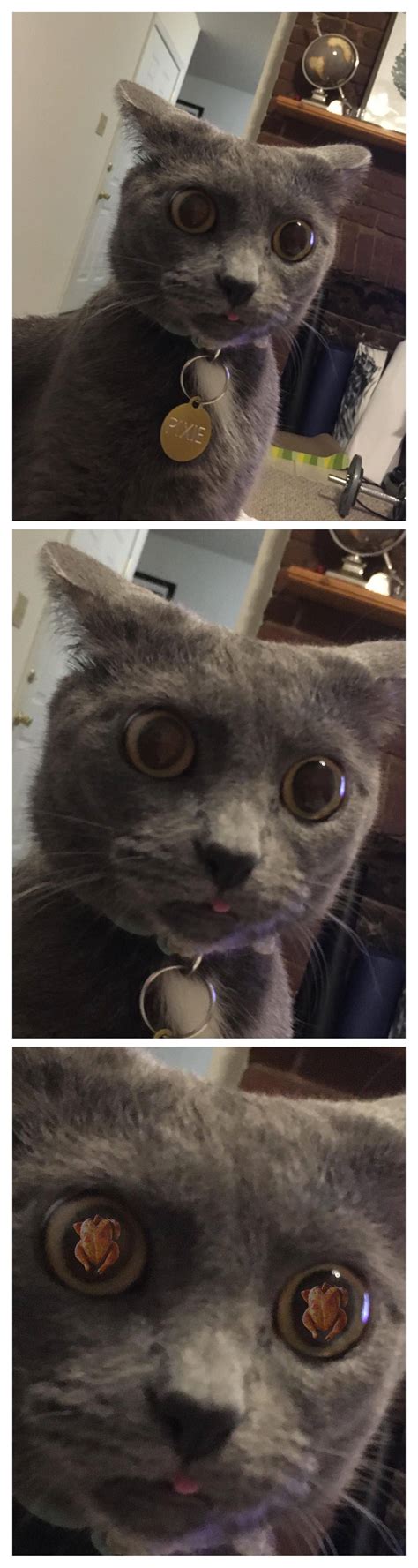 Airplane Pixie Is Approaching For Landing Rairplaneears