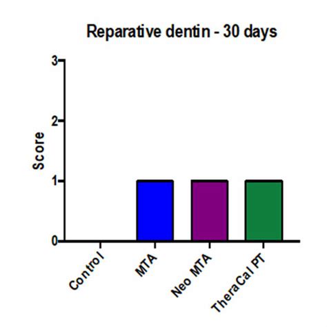 Reparative Dentin Formation In Response To The Different Treatments