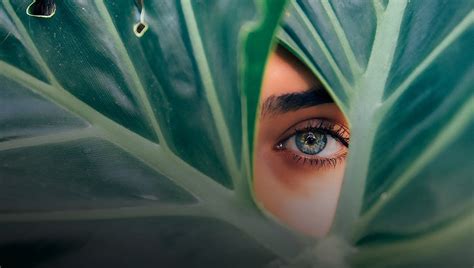 РЕСУРСЫ | книги, сайты, музыка, фильмы и пр. | SEEGURD.COM