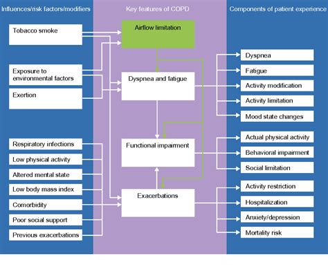 Figure 1 From Beyond Fev1 In Copd A Review Of Patient Reported