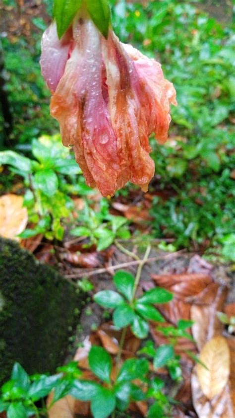 Eleena Thomas Posted On Linkedin