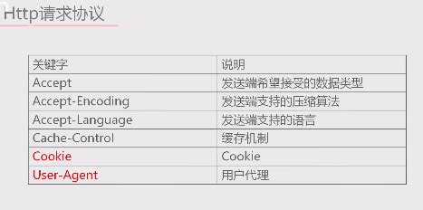 学习笔记 天Python闯关训练营 期 详解Http请求协议 CSDN博客