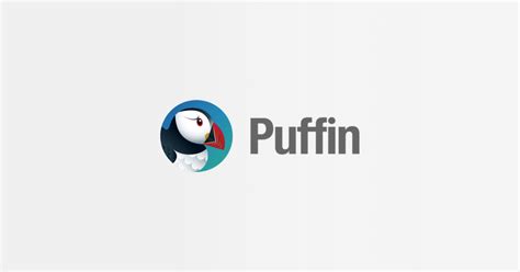 Puffin Incognito Browser