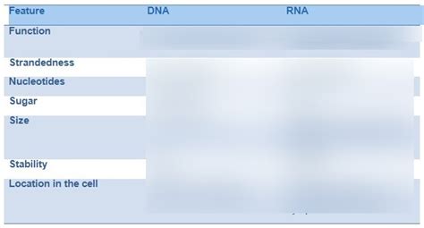 Biological Molecules Diagram Quizlet