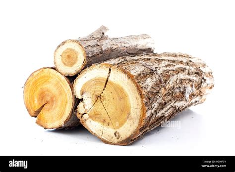 Pine Logs On White Background Studio Photo Split Wood Oak Tree For