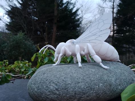 Honey Bee Model 3d Model By Tomol On Thangs