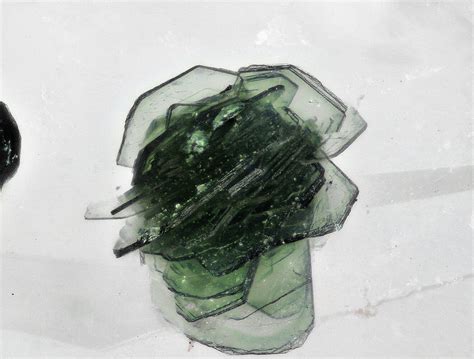 Chlorite Group Mineral Information Data And Localities