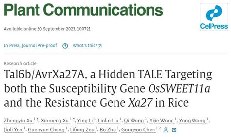 上海交大陈功友团队揭示白叶枯病菌新型主效tale蛋白”一箭双雕”激活水稻抗感病性的机制交大智慧上海交通大学新闻学术网