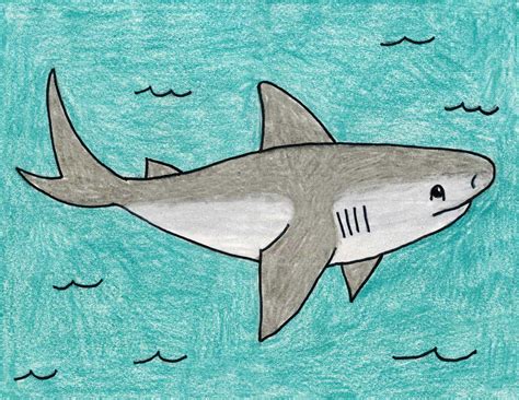Realistic Shark Drawing In Pencil Great White Shark Sketch