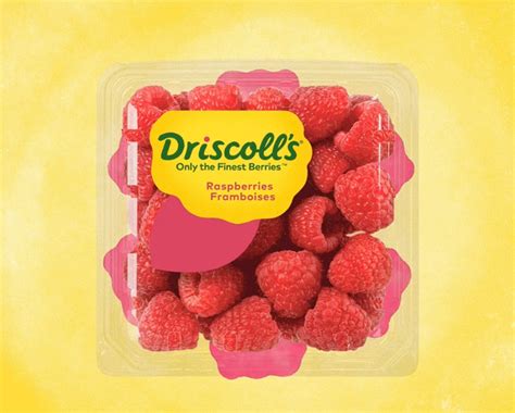 Driscolls Abre Segundo Centro Frigorífico En Jalisco Ya Suma 16 En