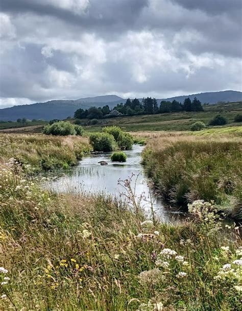 Why Are Riparian Zones Important — North Wales Rivers Trust