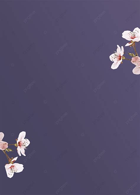 Simple Violet Background