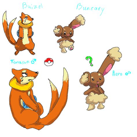 Pokemon Buizel Evolution Chart Pokemon Buizel Evolution Chart