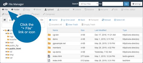 How To Use The CPanel File Manager GreenGeeks