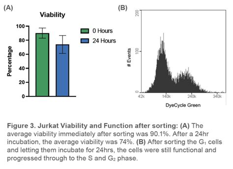 Cell Cycle Sorting Using A Microfluidic Cell Sorter Nanocellect