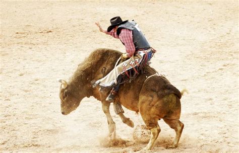 Guy Weadick Rodeo Tickets Buy Or Sell Guy Weadick Rodeo 2025 Tickets Viagogo