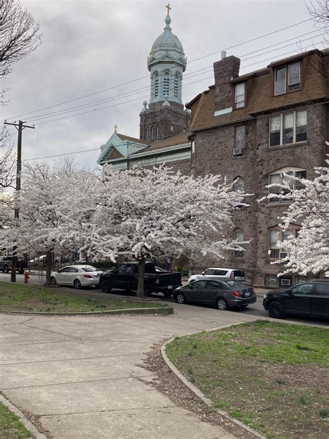 Edward C Edward C Tomaszewski Inc Funeral Home