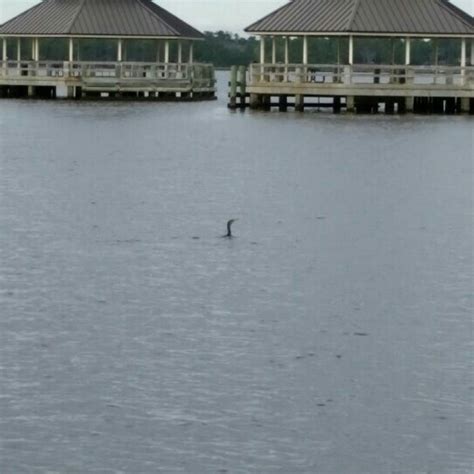 Keesler Marina Park Other Great Outdoors In Keesler Air Force Base