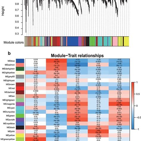 Scale Free Weighted Gene Coexpression Network Construction Analysis A Download Scientific