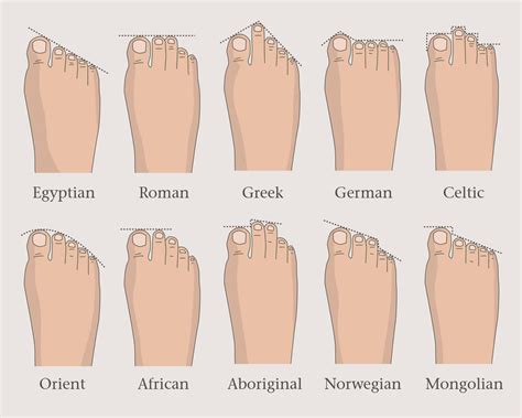 Types Of Socks Choose The Right Pair For Comfort And Style Q For Quinn™