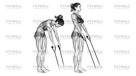 Band Back Extension Exercise Guide Techniques Benefits How To