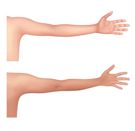 Human Female Arms