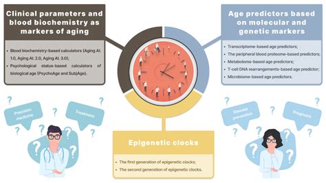 Molecular Clocks Concept Calculations And Limitations Only Zoology